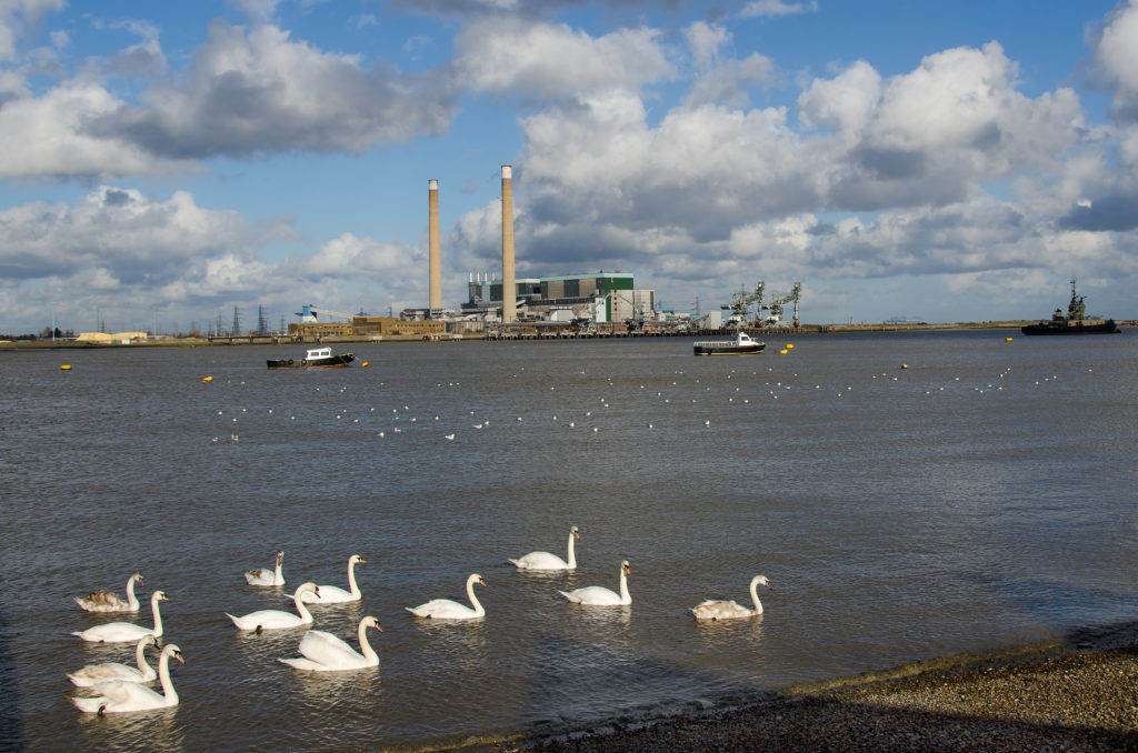 Project | Belfast EfW - Full Circle Power Ltd | Fichtner